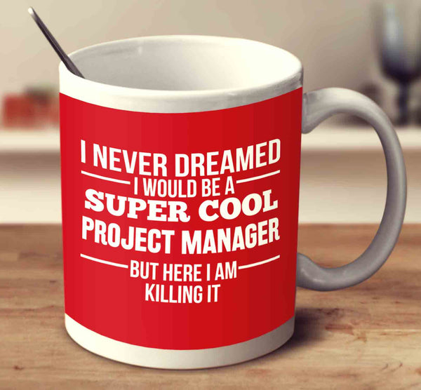 I Never Dreamed I Would Be A Super Cool Project Manager